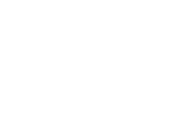 20 Ft Plus